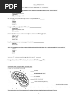 Answer Key Cellular Respiration Pogil | PDF | Cellular Respiration ...
