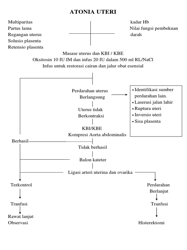 Protap Atonia Uteri | PDF