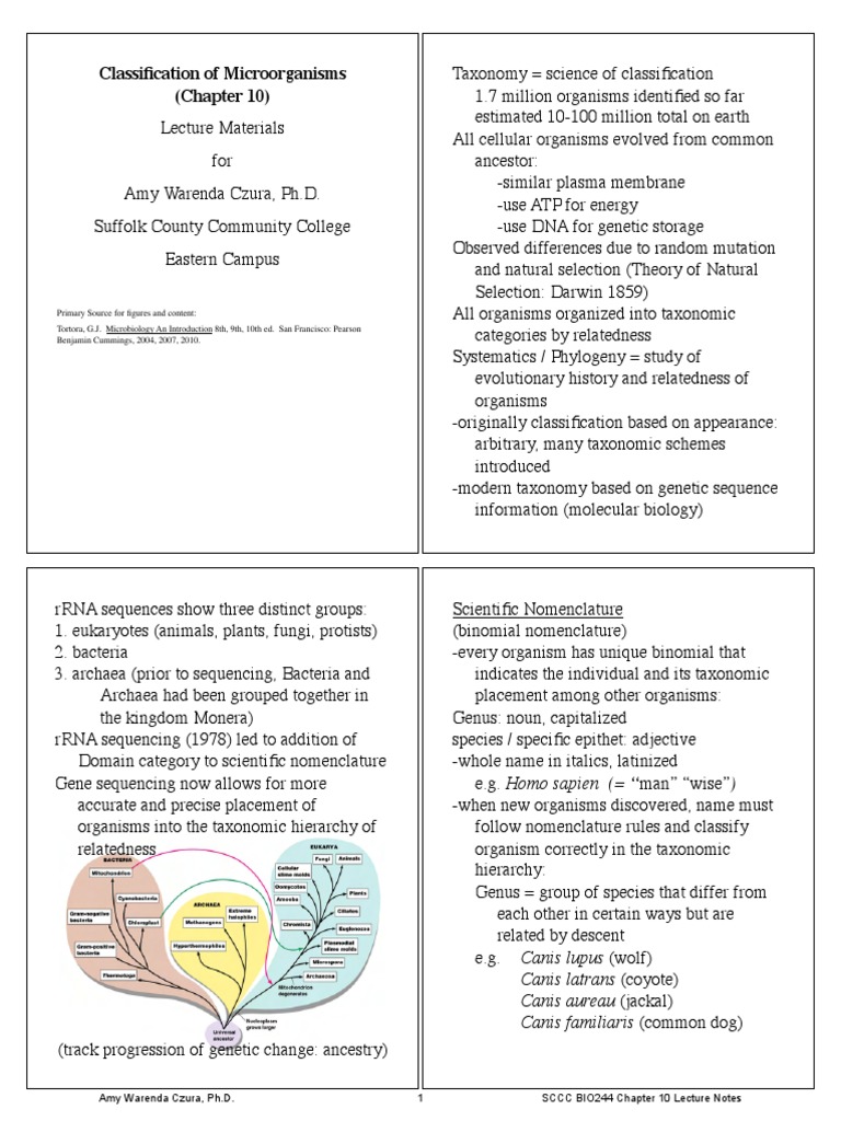 Bio 244 Chapter 10 Notes Pdf Elisa Dna