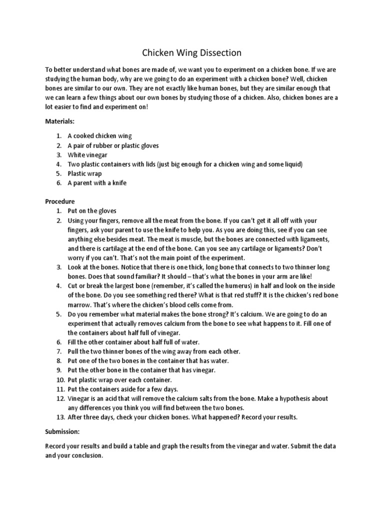 Chicken Wing Dissection | PDF | Bone | Nature