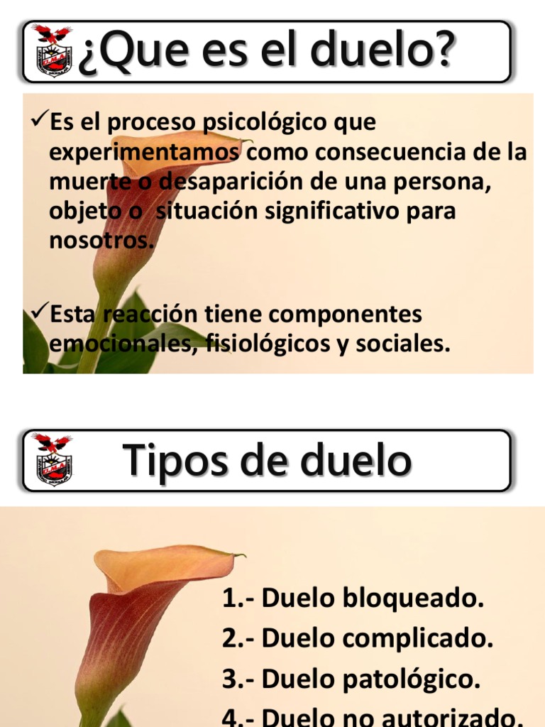 Como Superar El Duelo | PDF