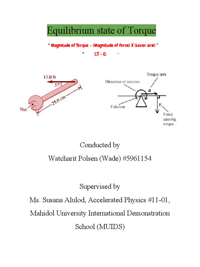 Torque Physics Lab | PDF | Torque | Rotation Around A Fixed Axis