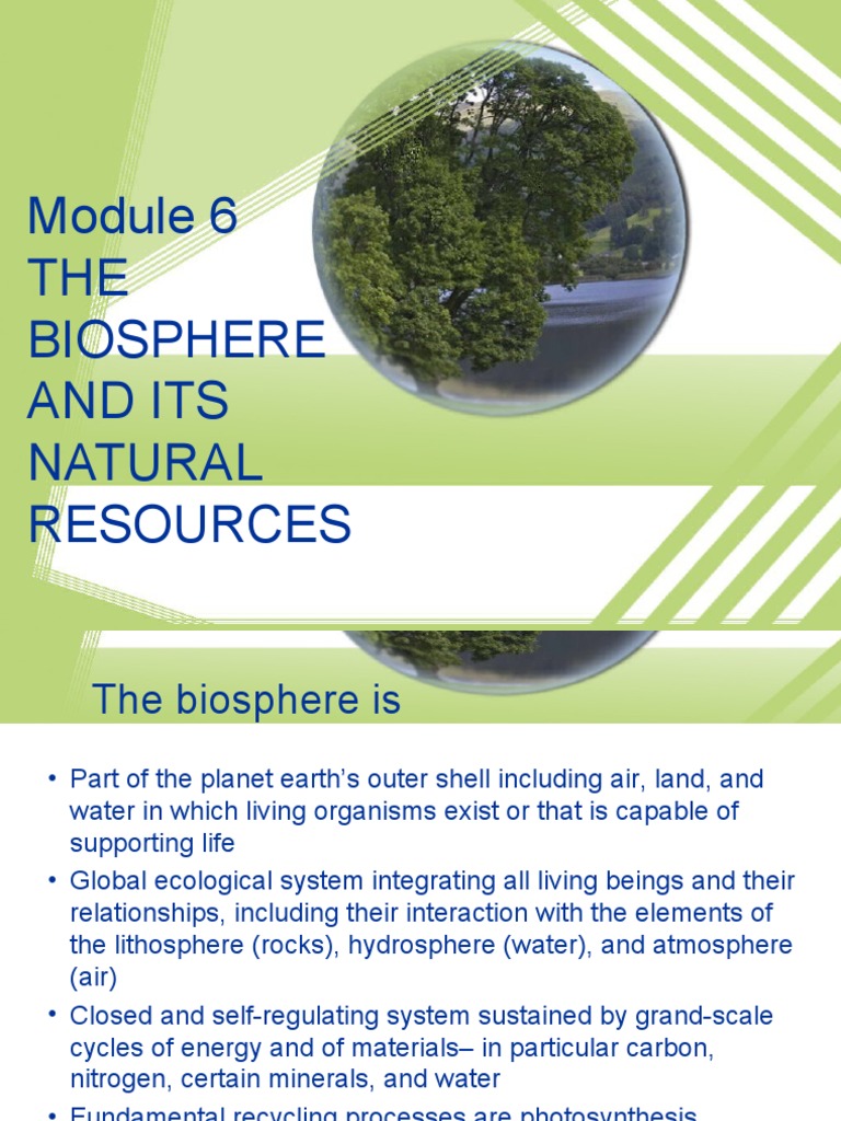 The Biosphere | PDF | Ecosystem | Coral Reef