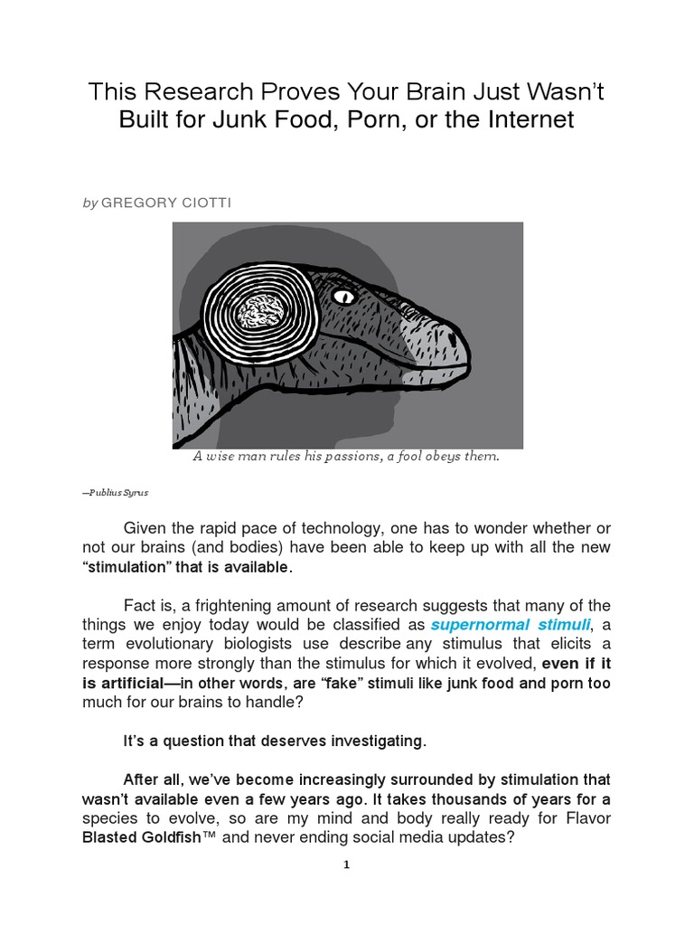 Brain Research On Supernormal Stimuli | PDF | Neuroscience | Cognition