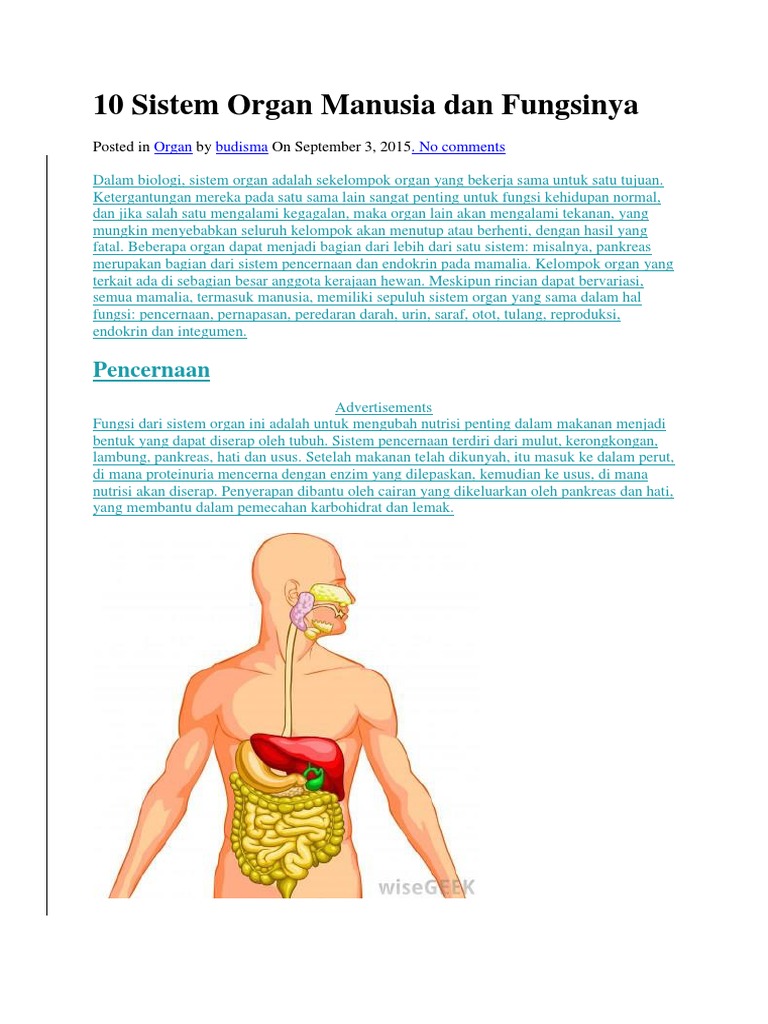 10 Sistem Organ Manusia dan Fungsinya | PDF | Kesehatan Holistik | Gaya ...