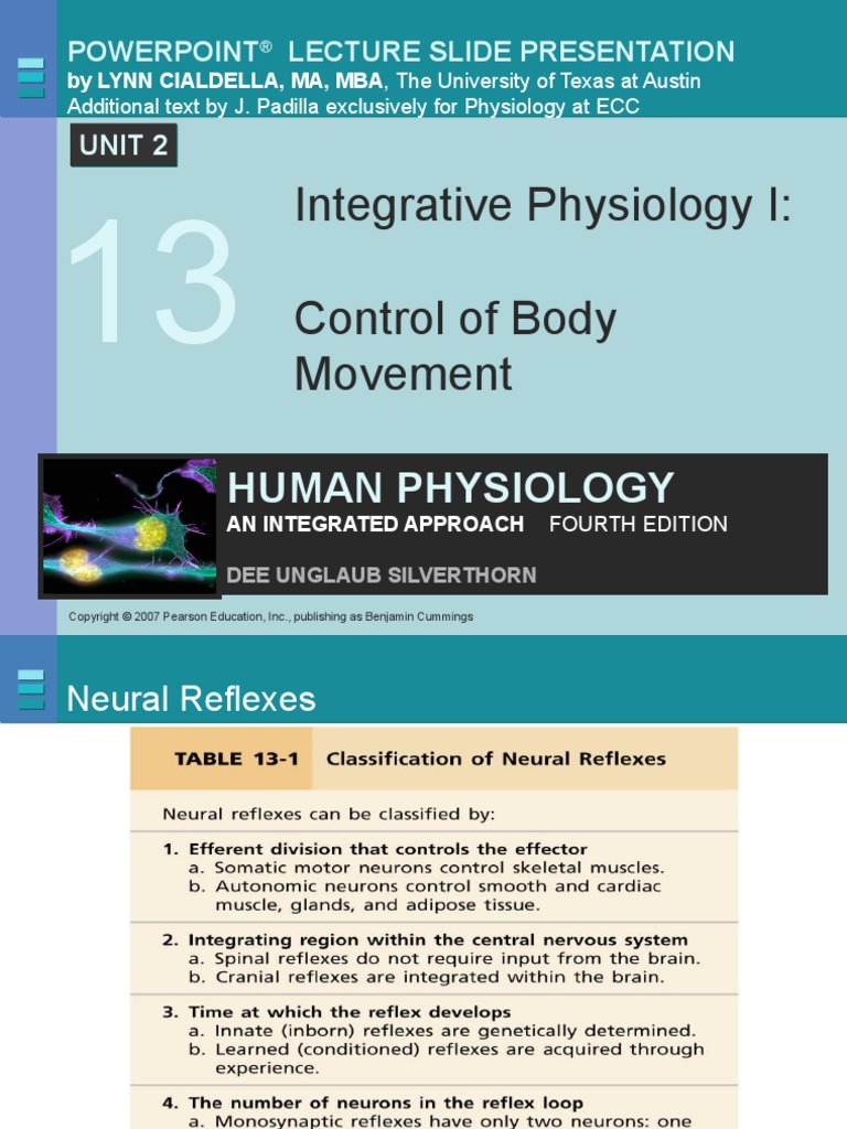 Kuliah 3 - Fisiologi Reflex (DR Aries) | PDF | Motor Neuron | Autonomic ...