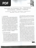 GRBASI | PDF | Canto | Voz humana