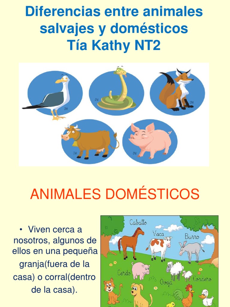 Diferencias entre animales salvajes y domésticos Tía Kathy NT2