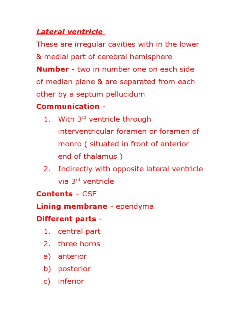 Lateral Ventricle: Number - Two in Number One On Each Side | PDF ...
