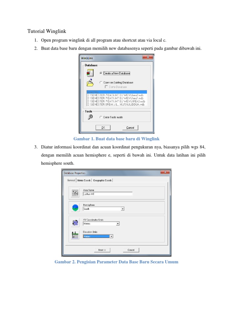 Tutorial Winglink | PDF