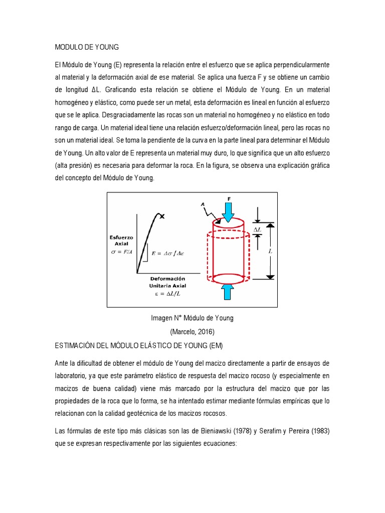 Modulo de Young | El módulo de Young | Elasticidad (Física)