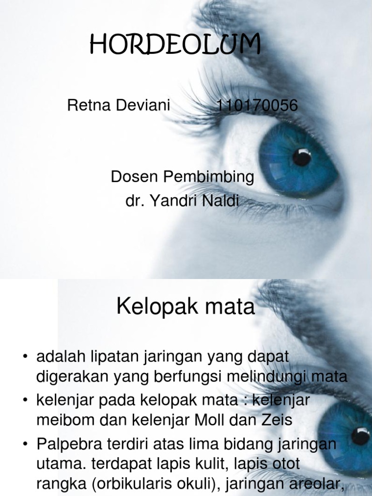 Panduan Lengkap Hordeolum | PDF