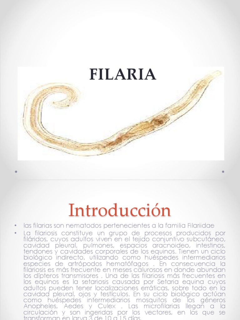 FILARIA | PDF | Inmunología | Medicina
