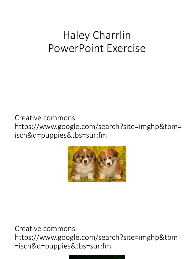 Powerpoint Exercise | PDF
