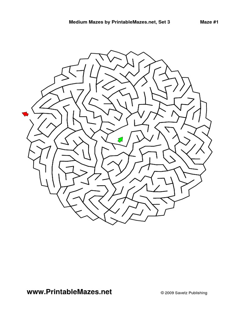 Medium Mazes Set 3 | PDF