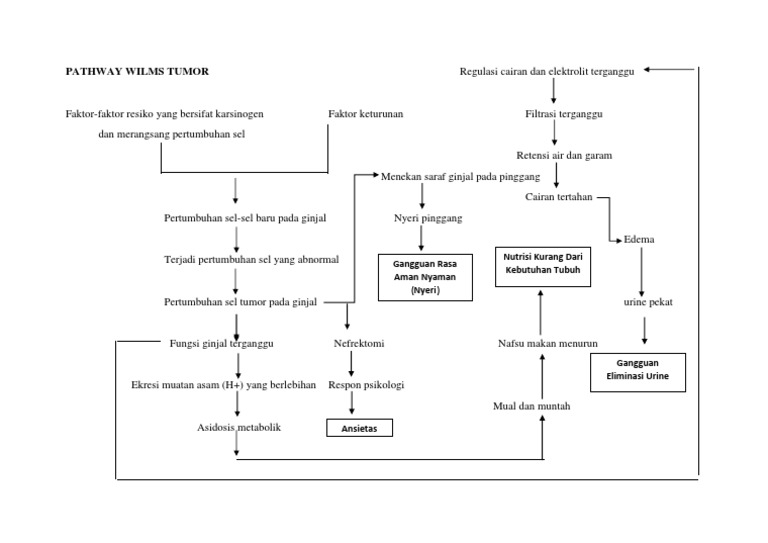 Pathway Wilms Tumor pada Anak | PDF