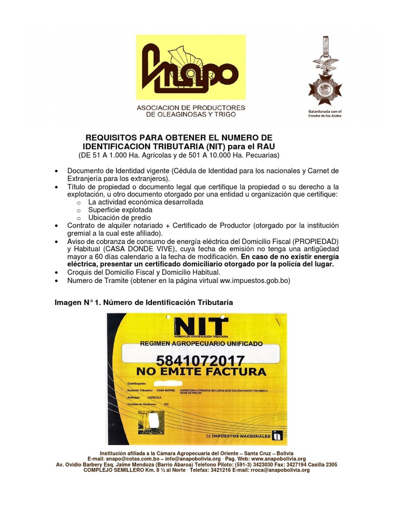 Requisitos para Obtener El NIT-RAU (Nuevo) | PDF