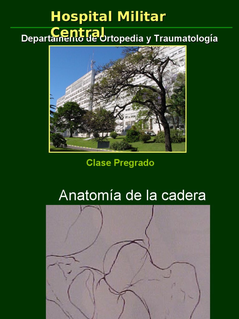 FX Cadera Femur y Cotilo | PDF | Cadera | Articulación