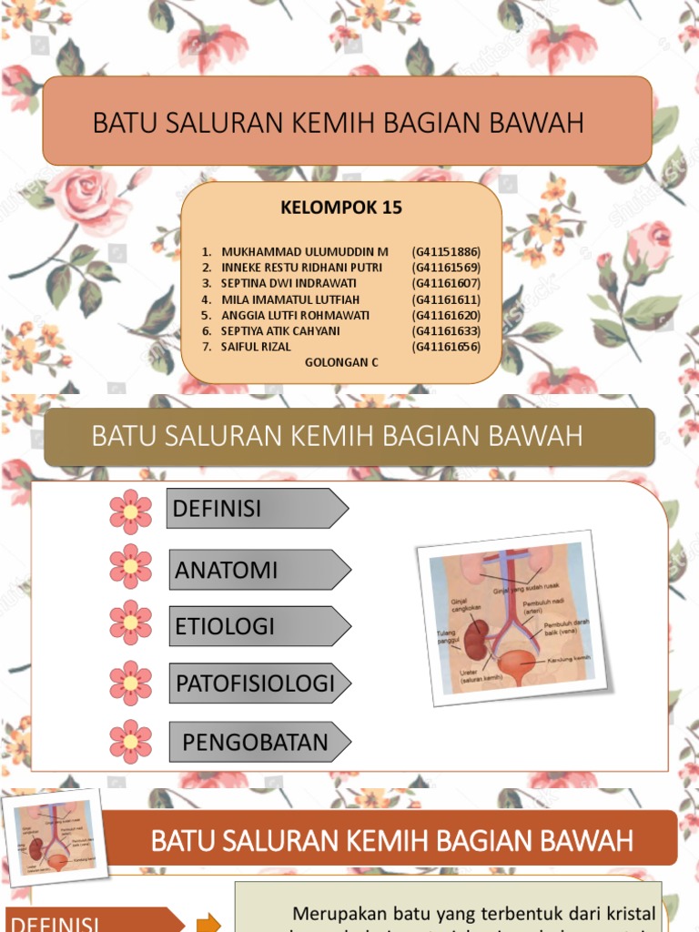 Batu Saluran Kemih | PDF