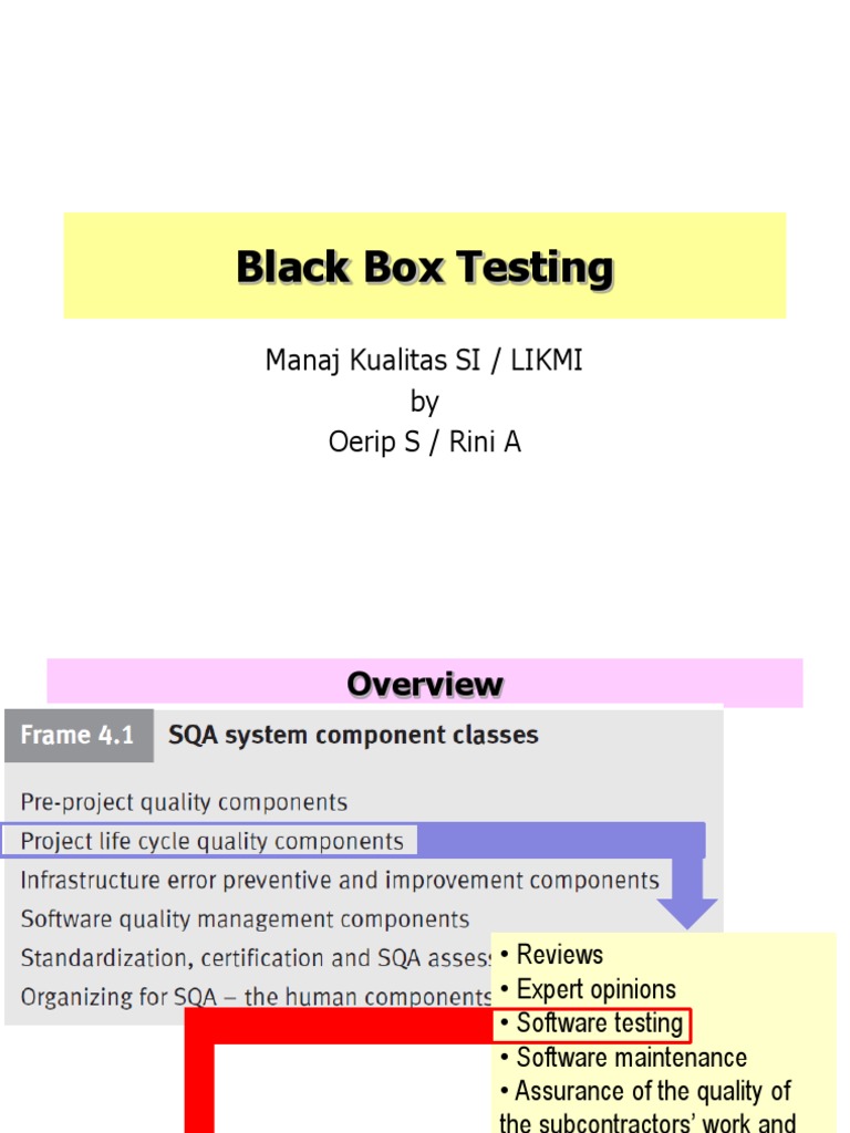 7 Black Box Testing | PDF | Software Testing | Systems Theory