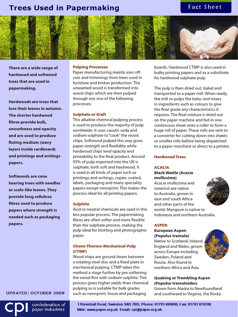 Trees Used for Paper Production | PDF | Pulp (Paper) | Paper