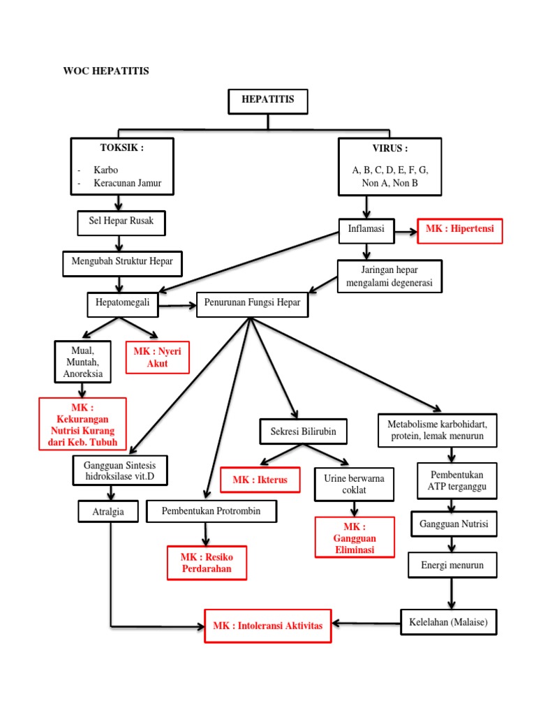 Kelompok 6 - Woc Hepatitis | PDF