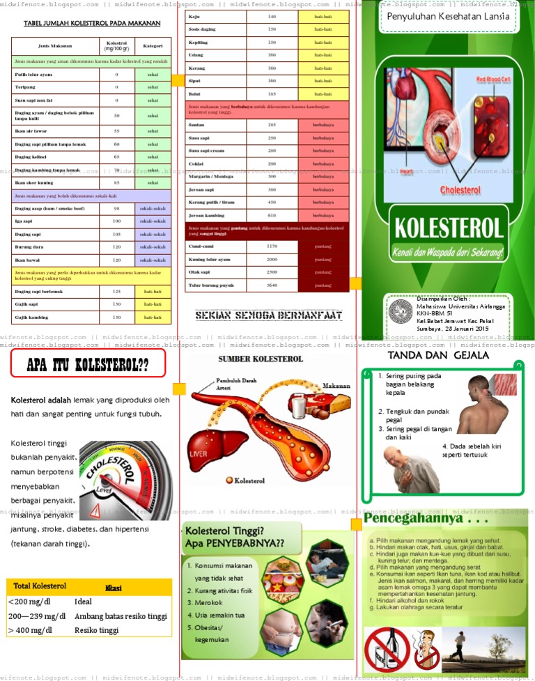 Leaflet Kolesterol PDF | PDF