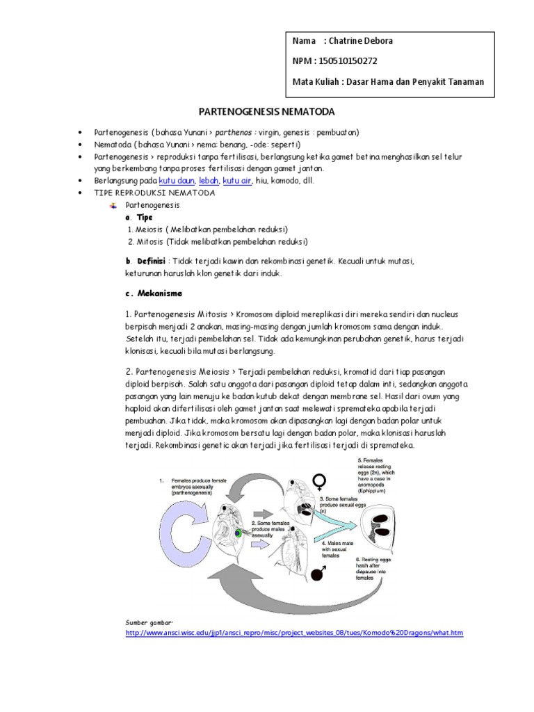 Partenogenesis pada Nematoda | PDF