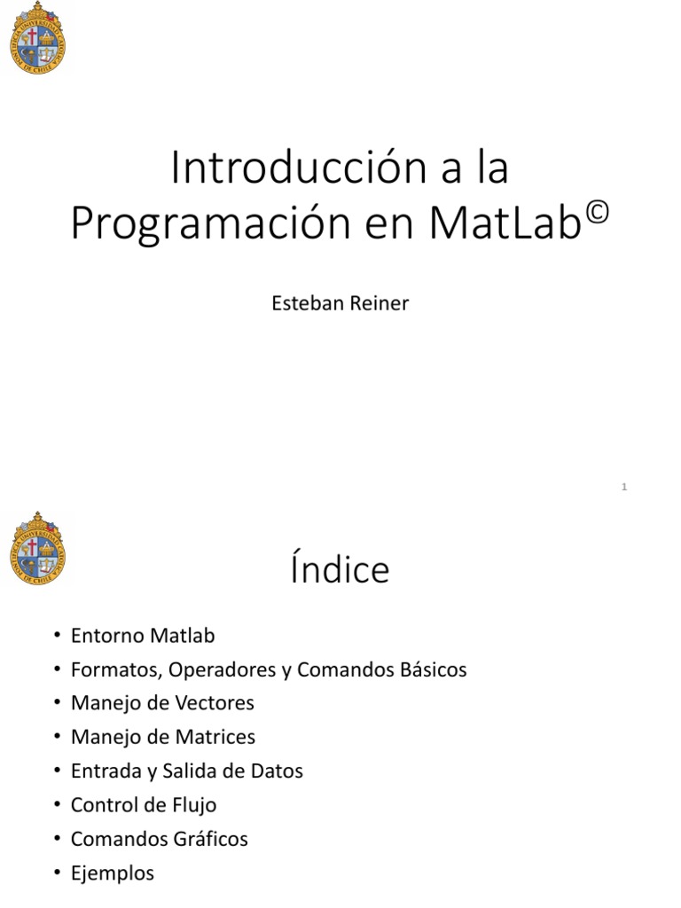 Introducción A La Programación en MatLab© | PDF | Matriz (Matemáticas ...