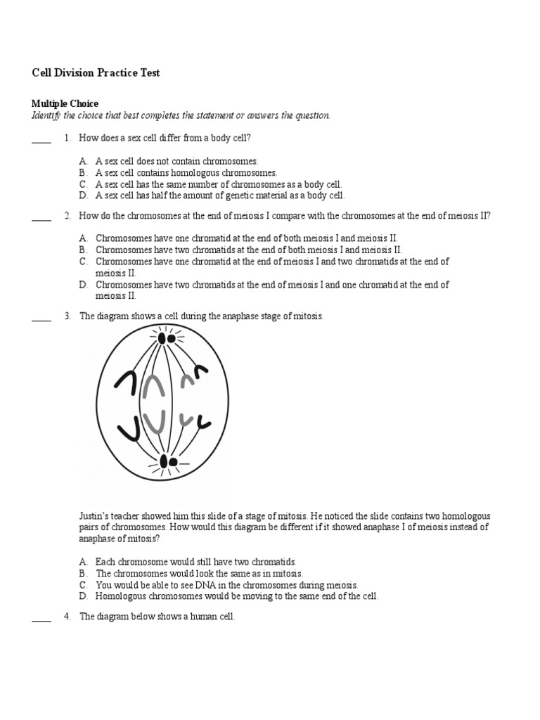 Cell Division Practice Test | PDF | Mitosis | Meiosis