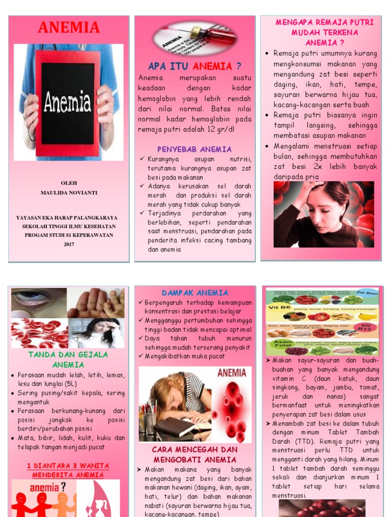 Leaflet Anemia Via | PDF