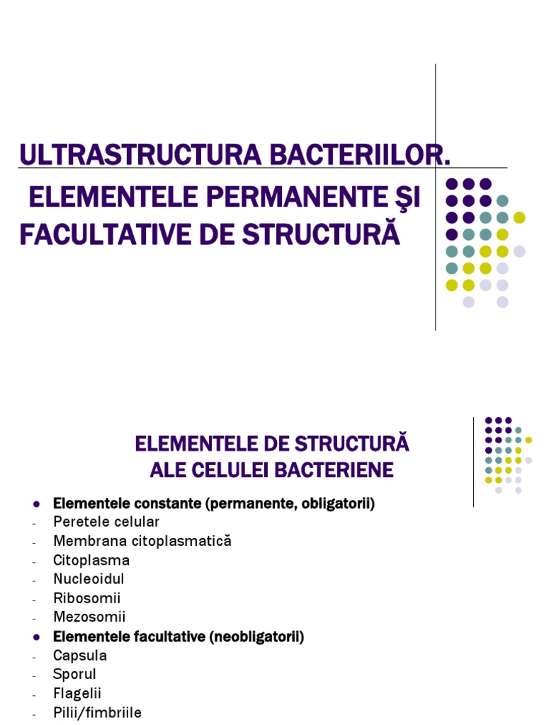 Ultrastructura Bacteriilor - 18 | PDF