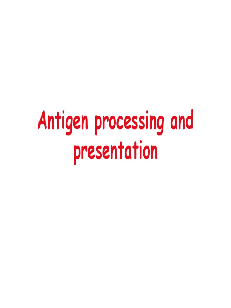 Antigen Processing and Presentation: An In-Depth Look at the Key ...