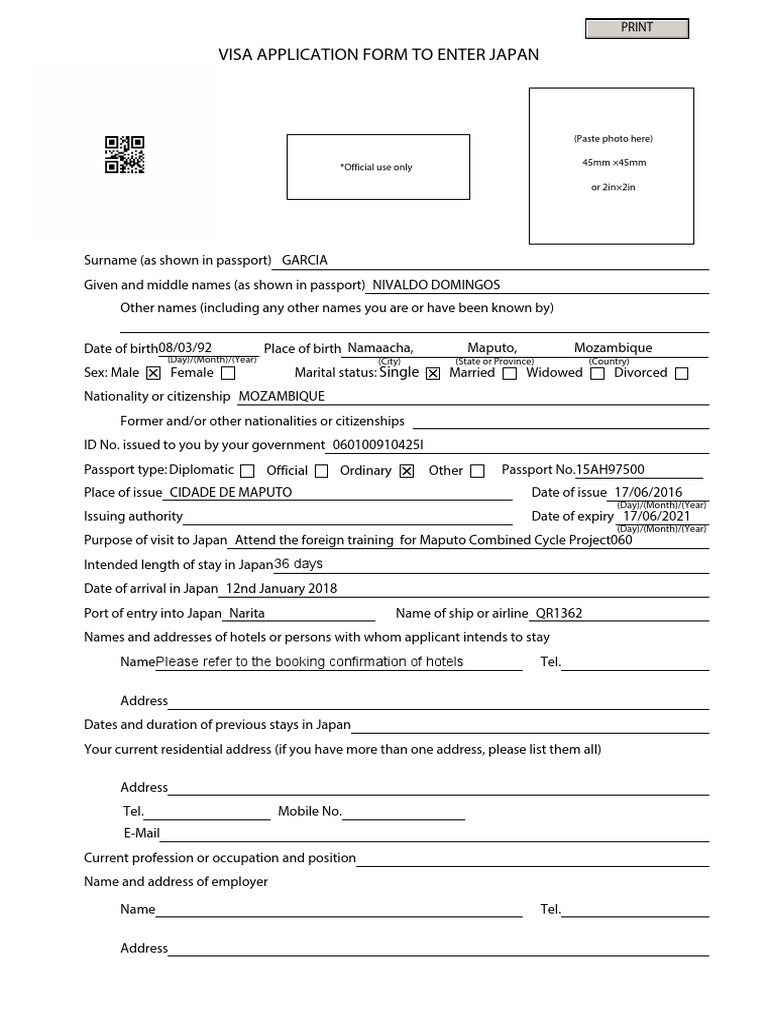 Visa Application Form To Enter Japan: Single | PDF | Travel Visa ...
