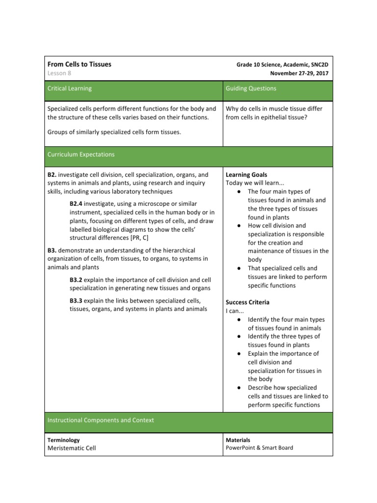 Lesson 8 - snc2d | PDF | Tissue (Biology) | Organ (Anatomy)
