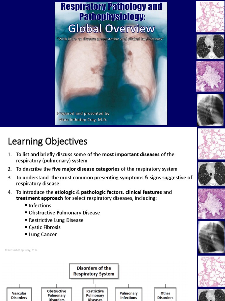 Respiratory Pathology and Pathophysiology-Global Overview | PDF ...