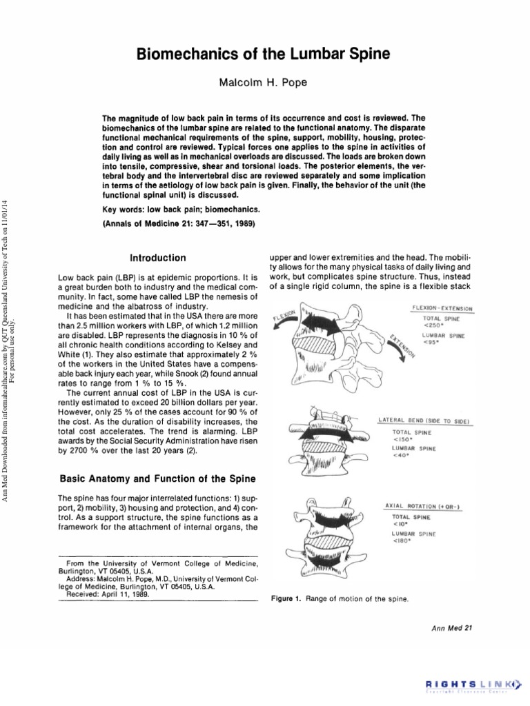 Biomechanics of The Lumbar Spine: Malcolm | PDF | Vertebra | Vertebral ...