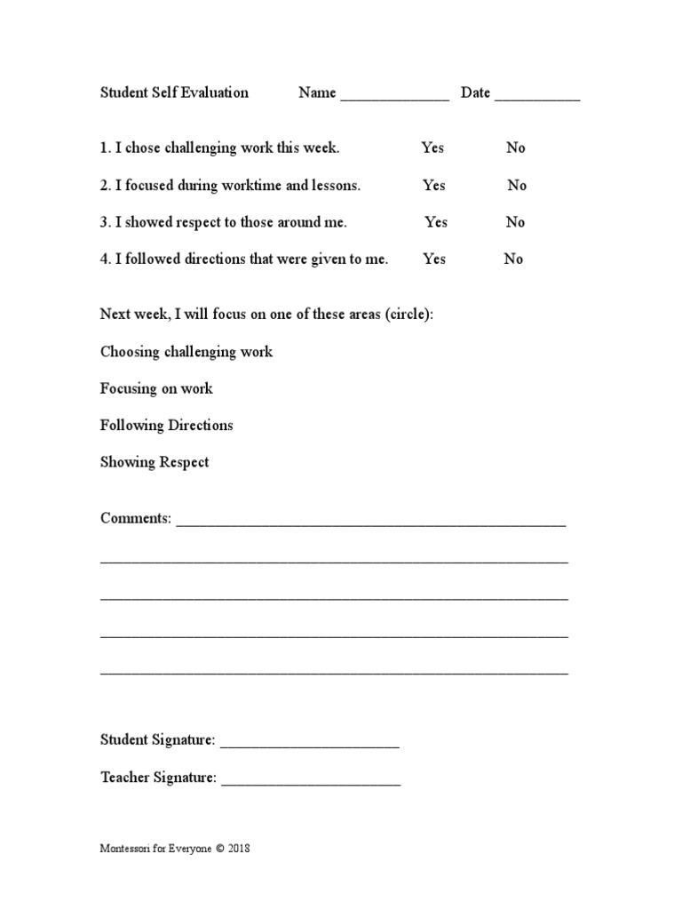 Student Self Evaluation | PDF