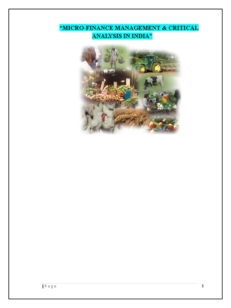 A Project Report On Microfinance in India | PDF | Microfinance ...