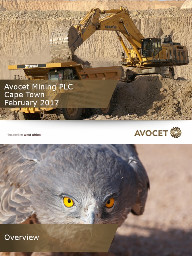 Avocet Presentation 2017 02 Indaba Final | PDF | Economic Geology | Mining