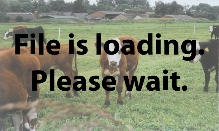 File Is Loading. Please Wait | PDF