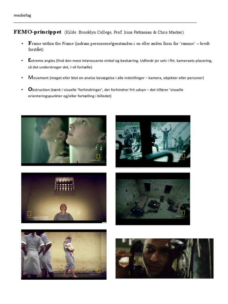 FEMO Princip Kameraovelse 1 | PDF