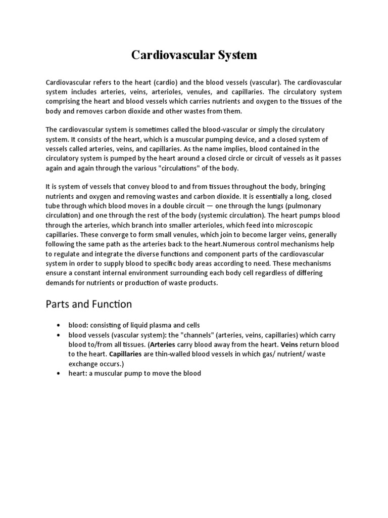Overview of the Cardiovascular System | PDF | Circulatory System ...