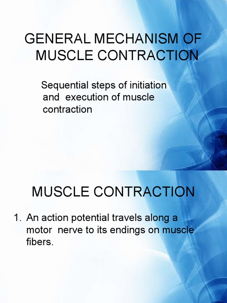 General Mechanism of Muscle Contraction | PDF | Muscle Contraction | Actin