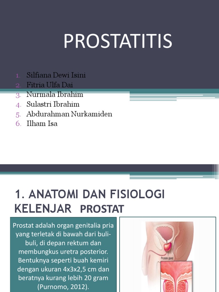 Prostatitis PPT Kelompok 1 | PDF