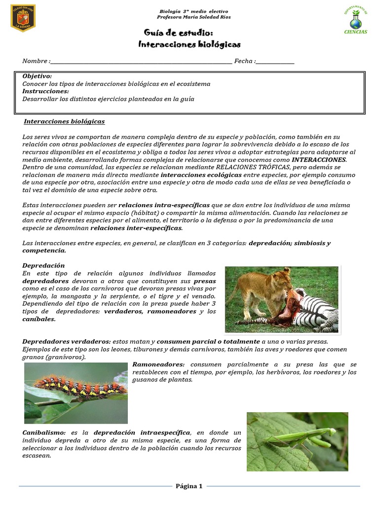 Interacciones Biológicas en Ecosistemas | PDF | Depredación | Simbiosis