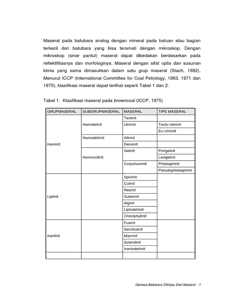 GENESA MASERAL DALAM PEMBATUBARAAN | PDF