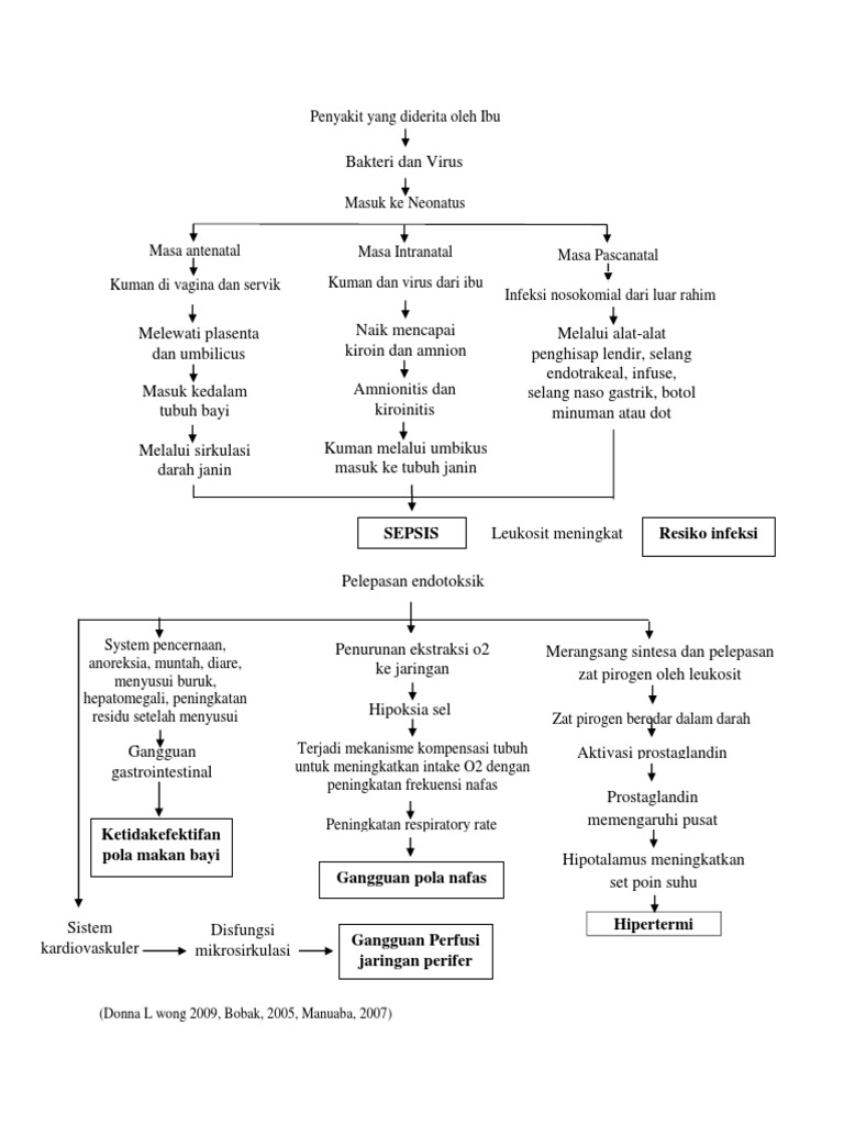 Pathway Sepsis Neonatorum | PDF