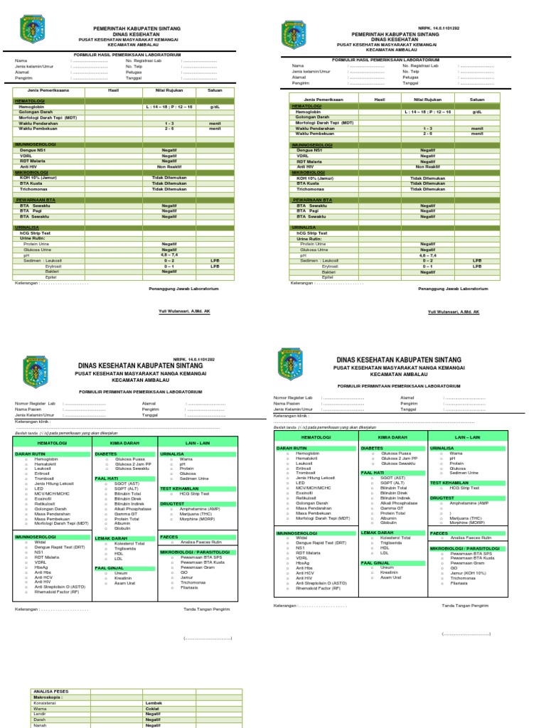 Formulir Lab Lengkap | PDF