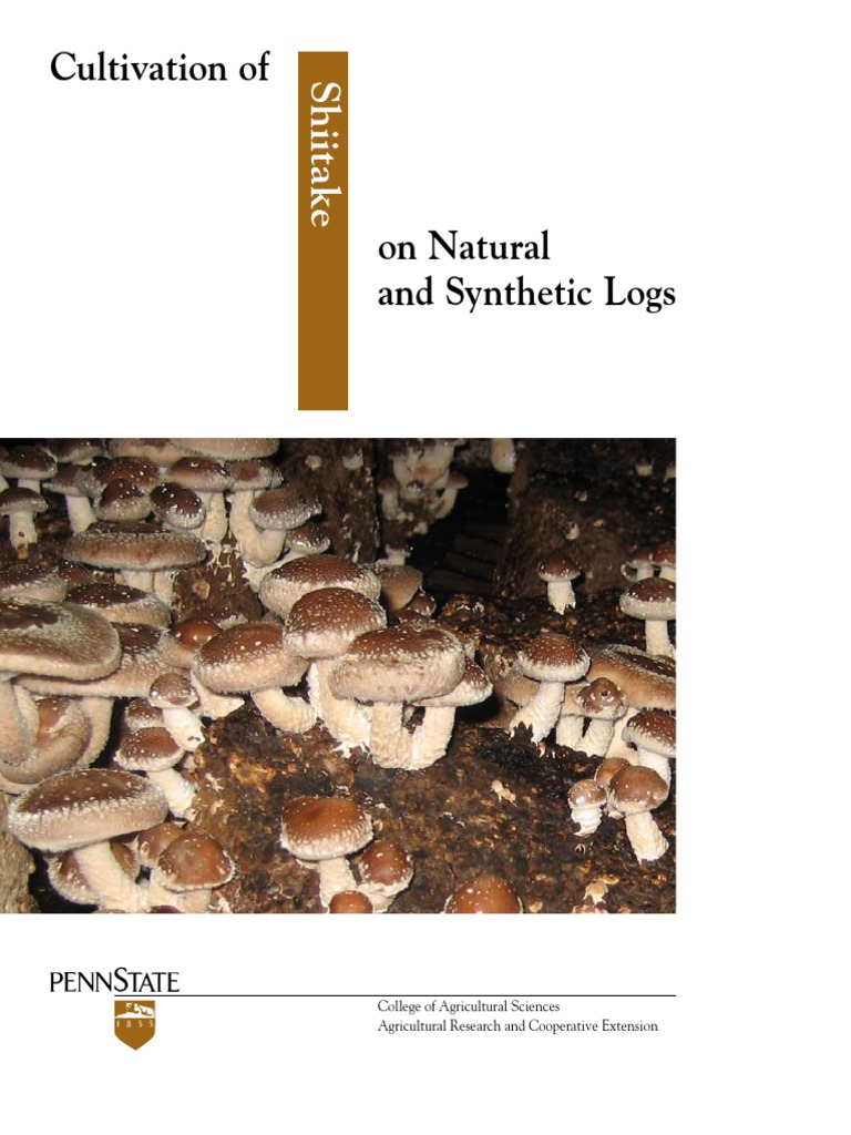 Mushrooms | PDF | Agriculture | Nature
